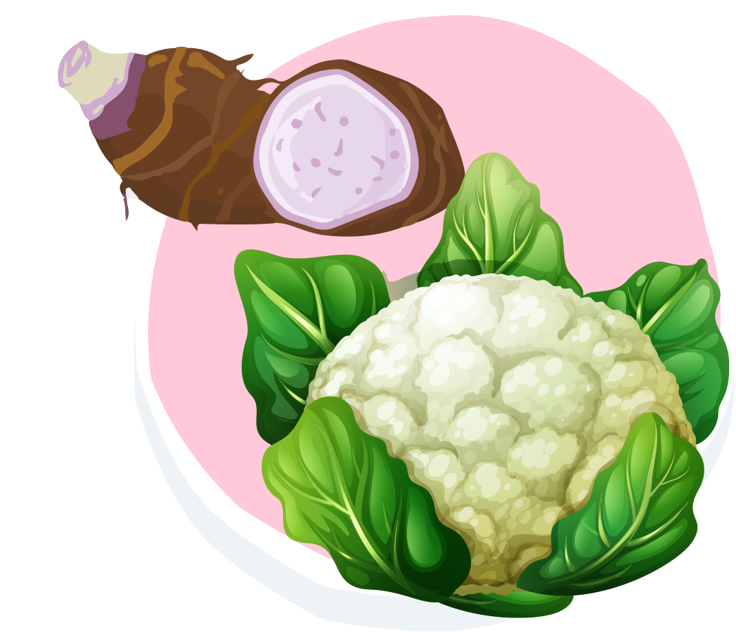 chapter-dictionary page - OLE Nepal